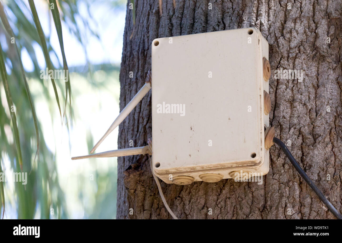Wireless router hanging in a tree - Madagascar Stock Photo - Alamy