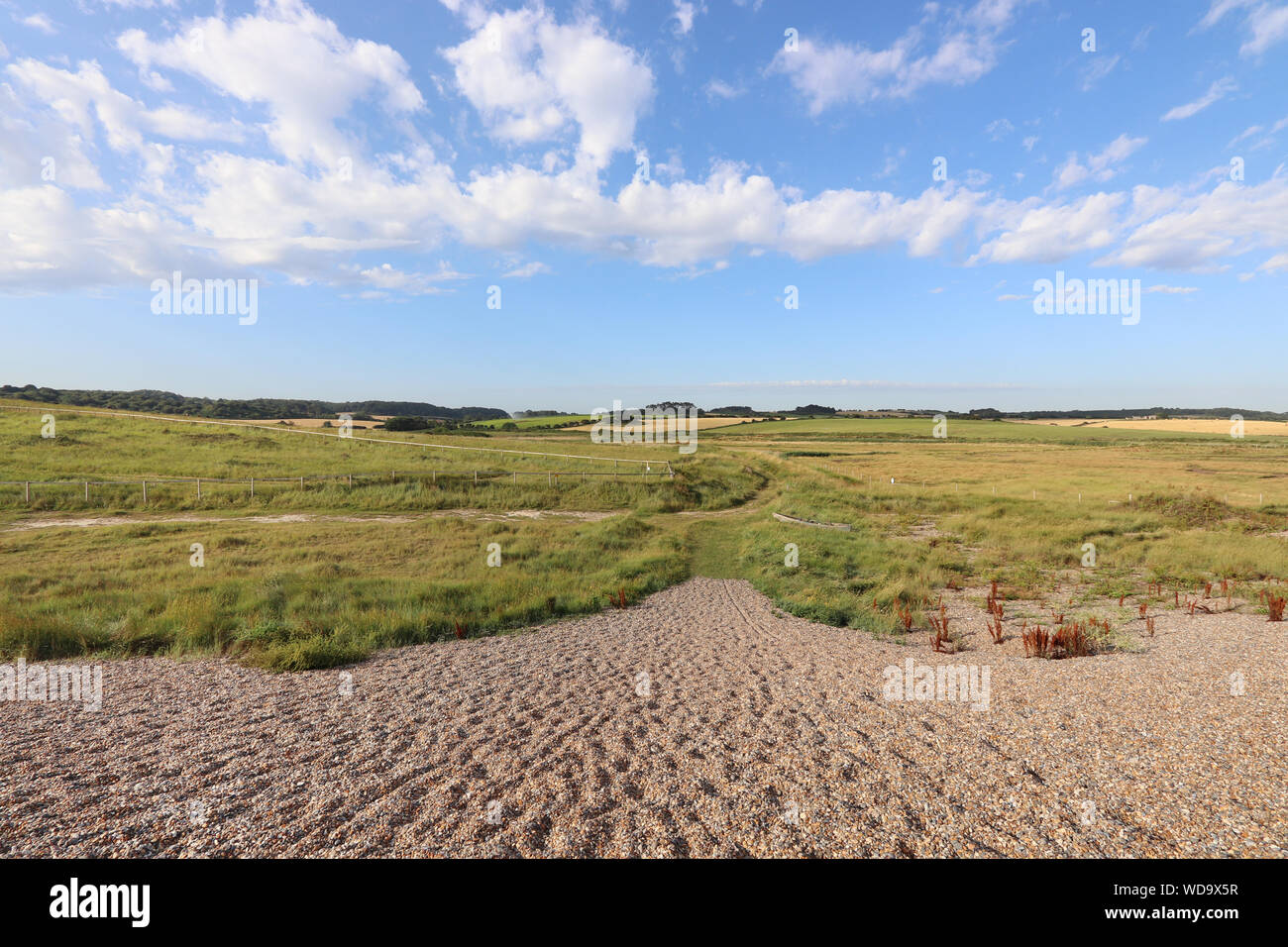 Kelling Heath High Resolution Stock Photography and Images - Alamy