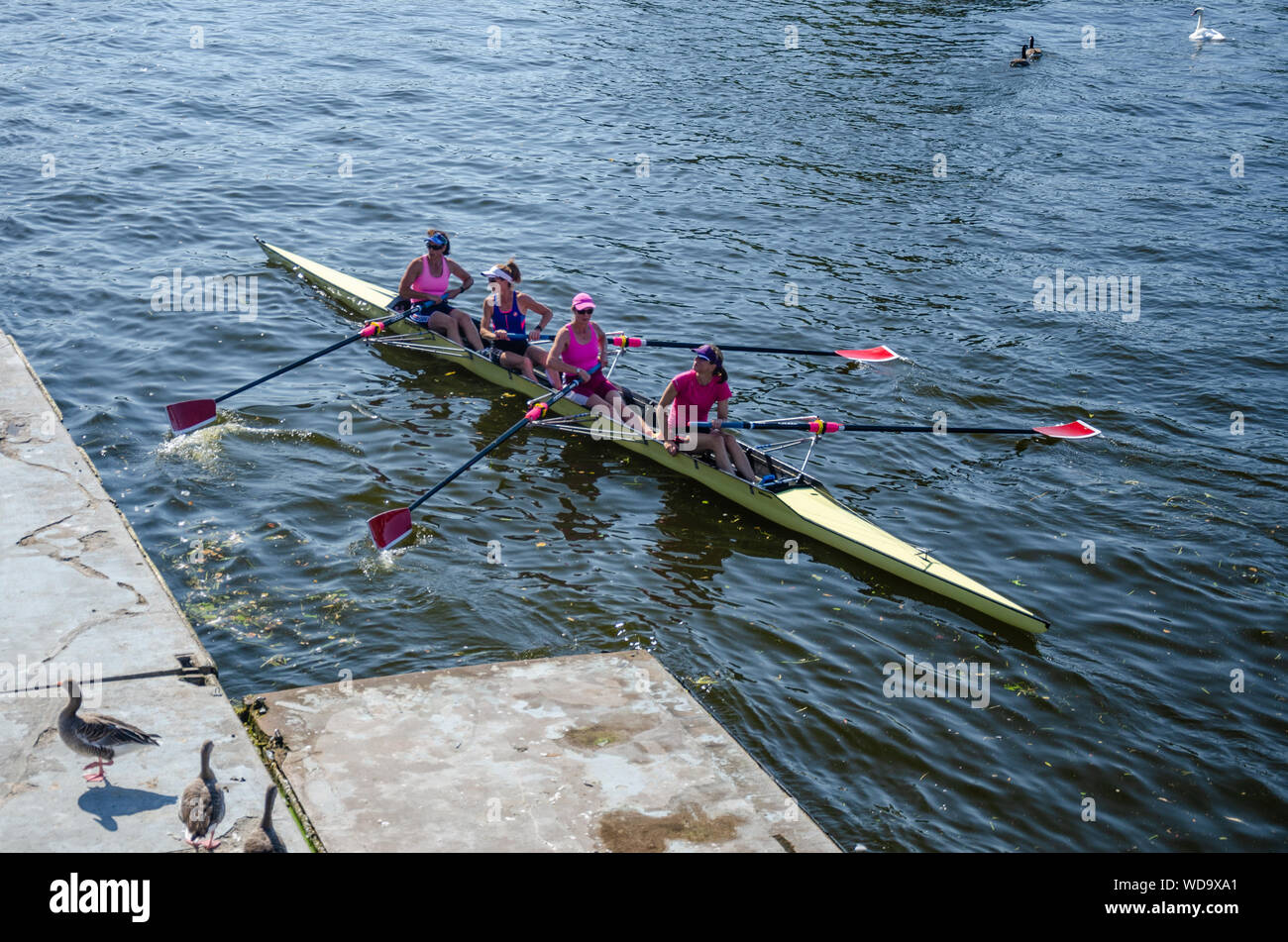 A ladies rowing crew bring their boat in to land at a pontoon along the ...