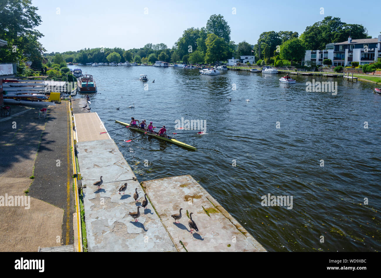 Row boat side view hi-res stock photography and images - Alamy