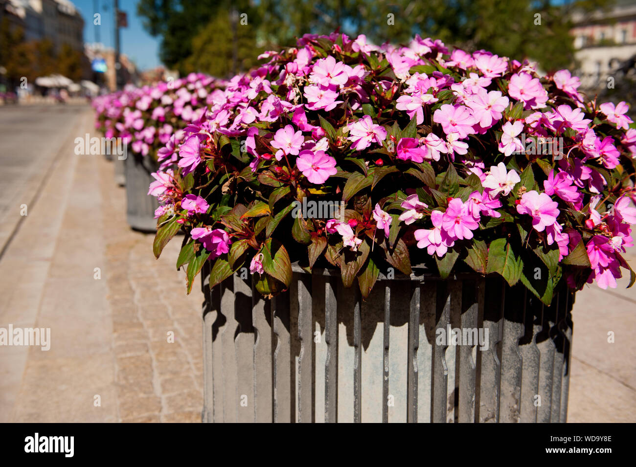 Street planter hi-res stock photography and images - Alamy