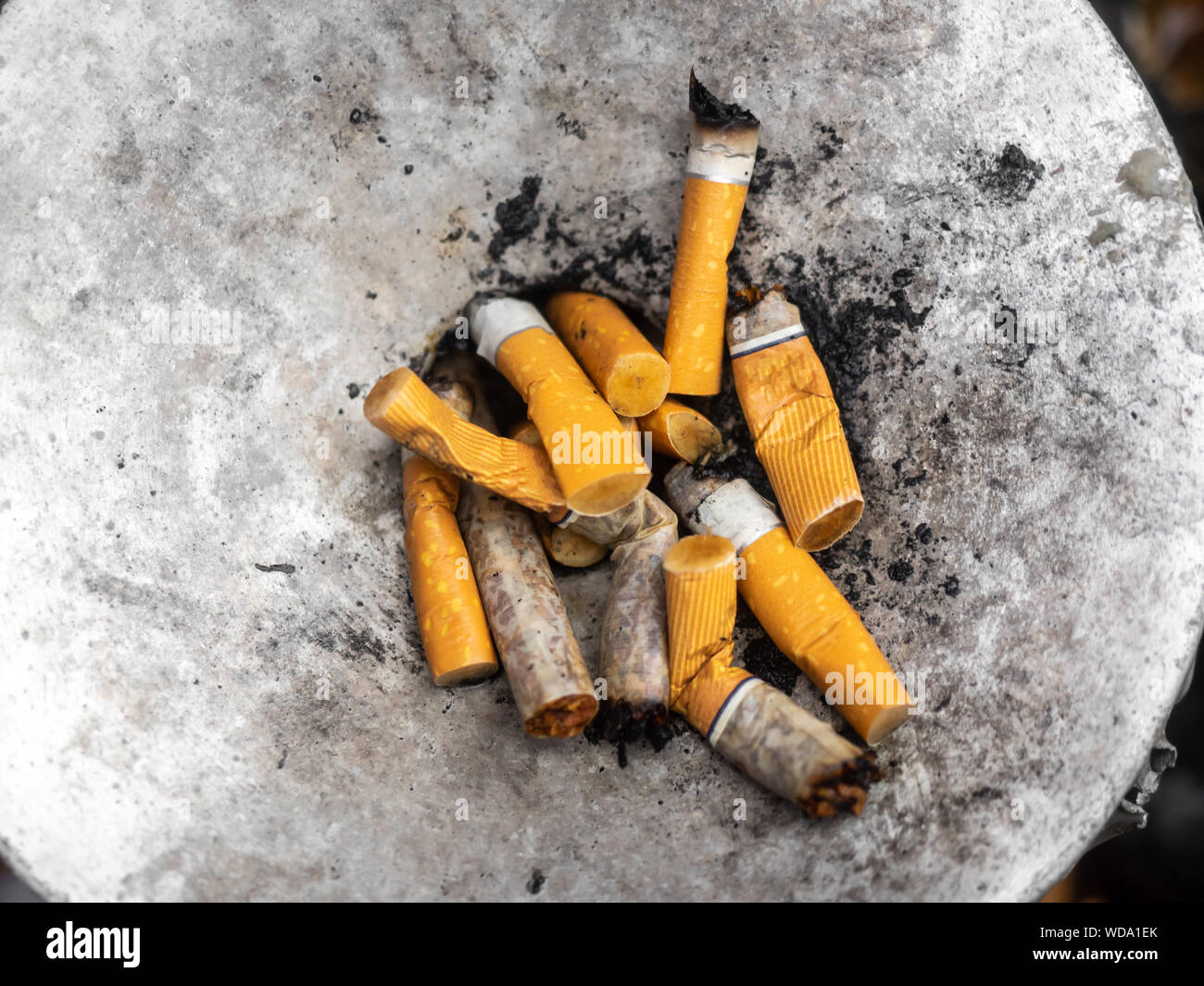 Cigarettes in an ashtray hi-res stock photography and images - Alamy