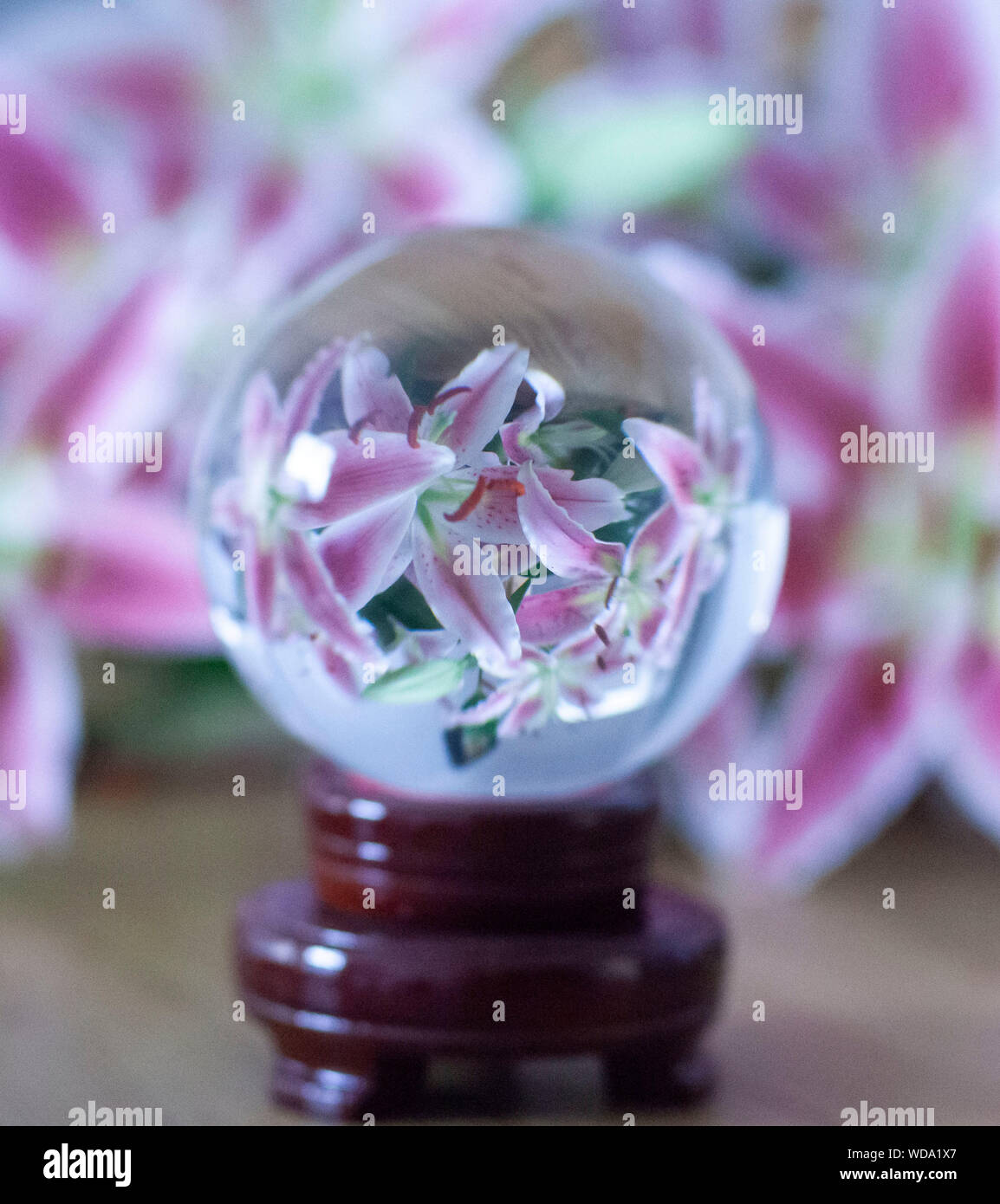 Crystal ball stand hi-res stock photography and images - Alamy