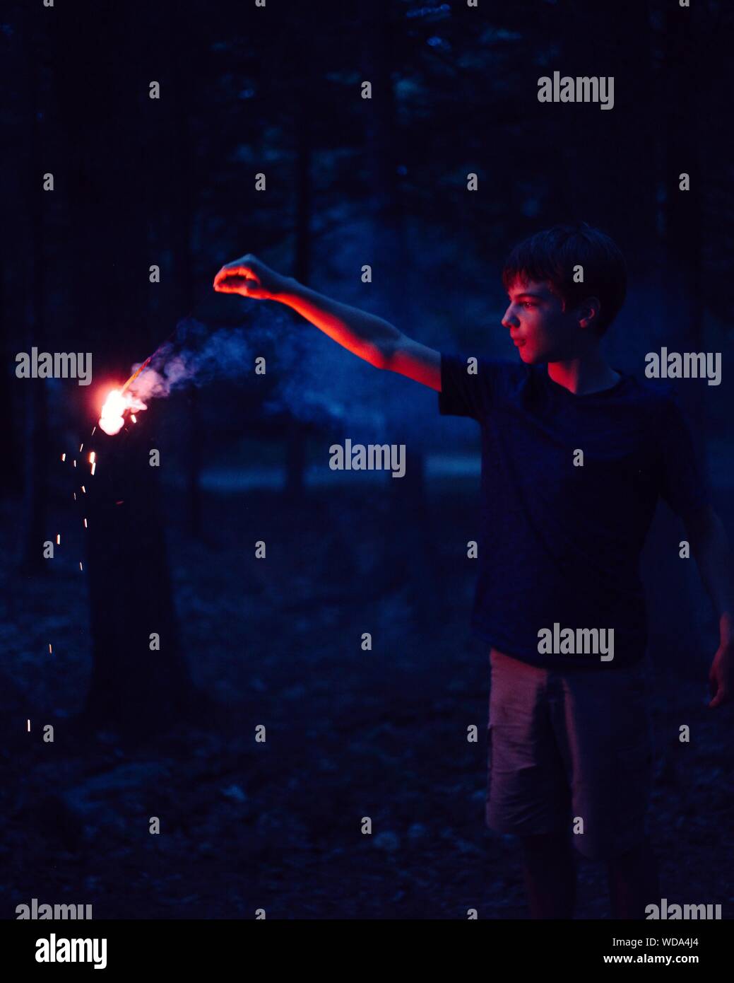 Boy Holding Burning Stick In Forest At Dusk Stock Photo - Alamy