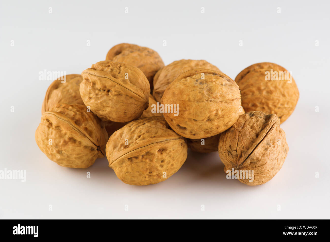 Walnut closeup image isolated on white background Stock Photo - Alamy