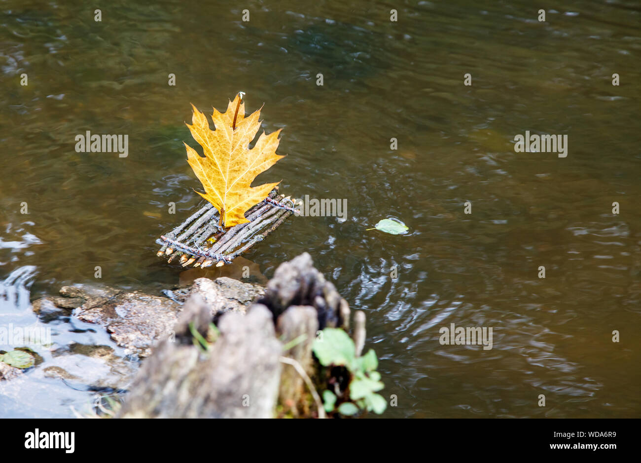 toy raft with a sail from maple leaf floating on the lake on autumn day ...