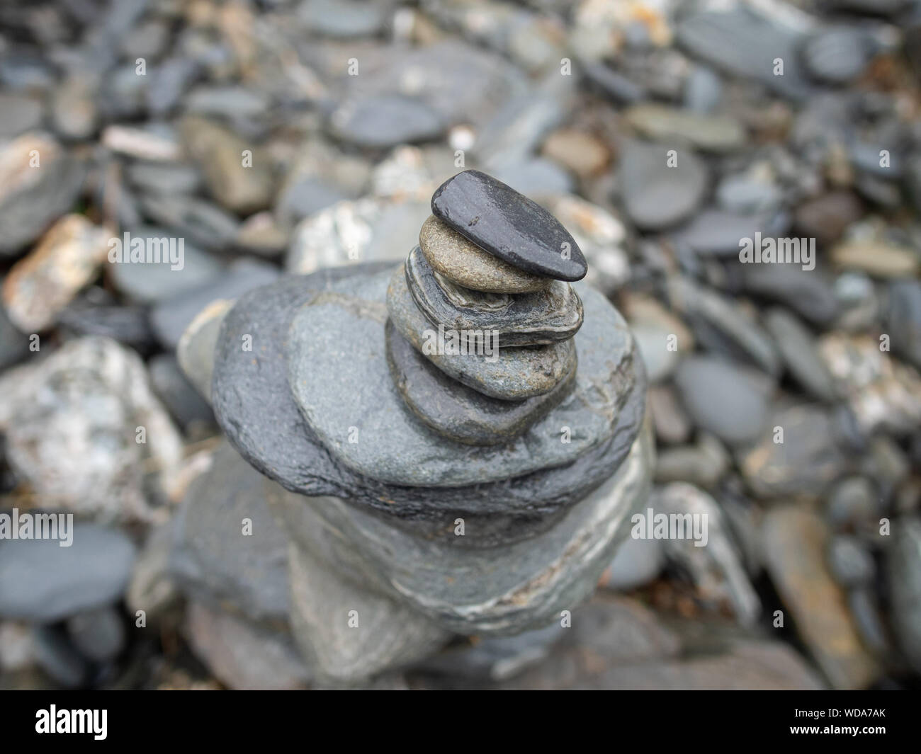 Pebbles on beach new zealand hi-res stock photography and images - Alamy