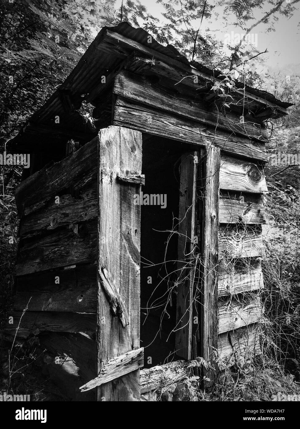Outhouse Black and White Stock Photos & Images - Alamy