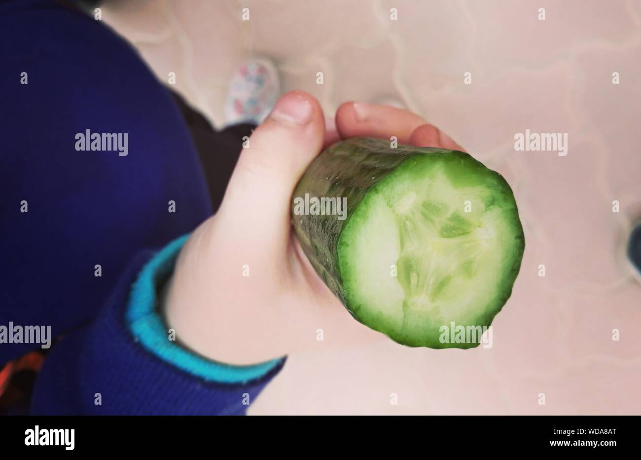 Hand holding cucumber hi-res stock photography and images - Alamy