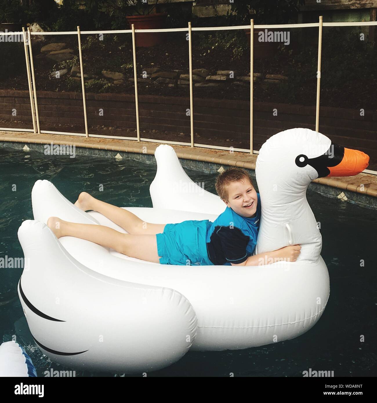 The boy on the swan hi-res stock photography and images - Alamy