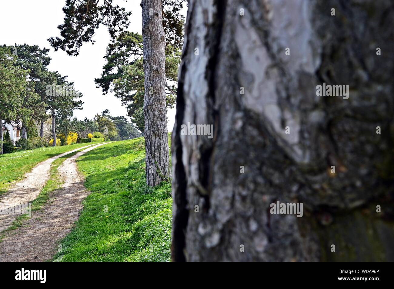 Trunk_road hi-res stock photography and images - Alamy