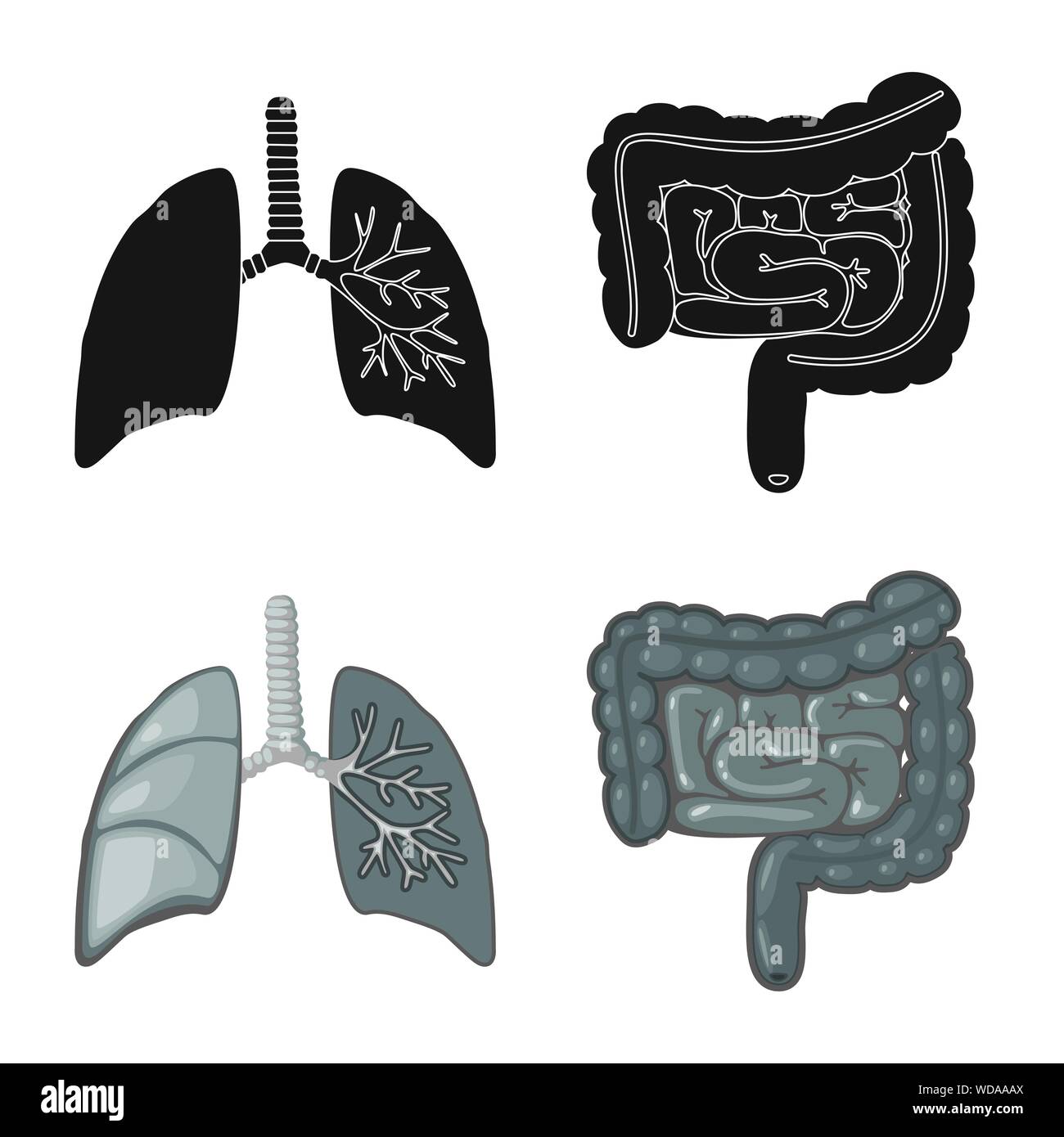 Vector design of biology and scientific symbol. Collection of biology ...