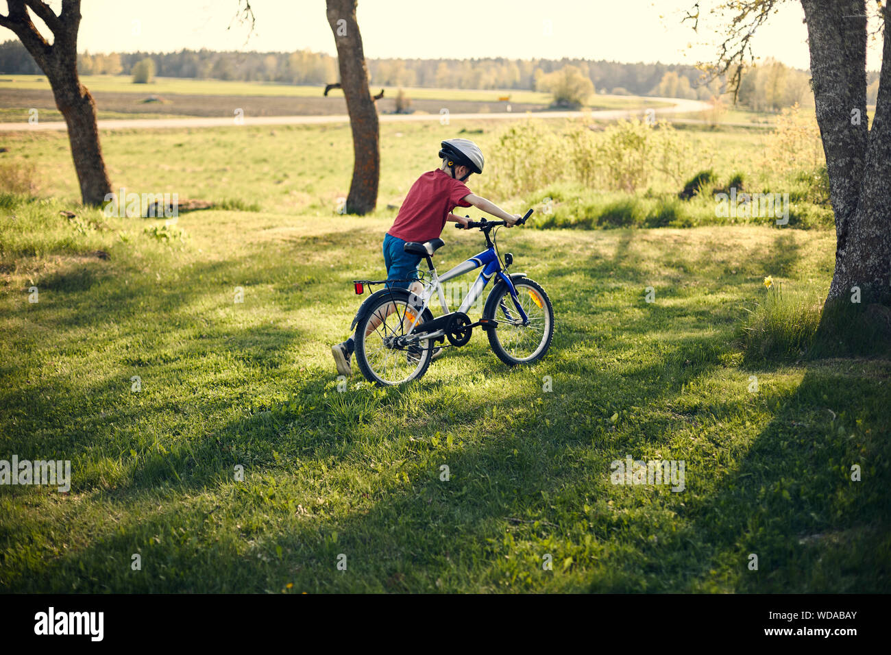 Pushing tree with trunk hi-res stock photography and images - Alamy