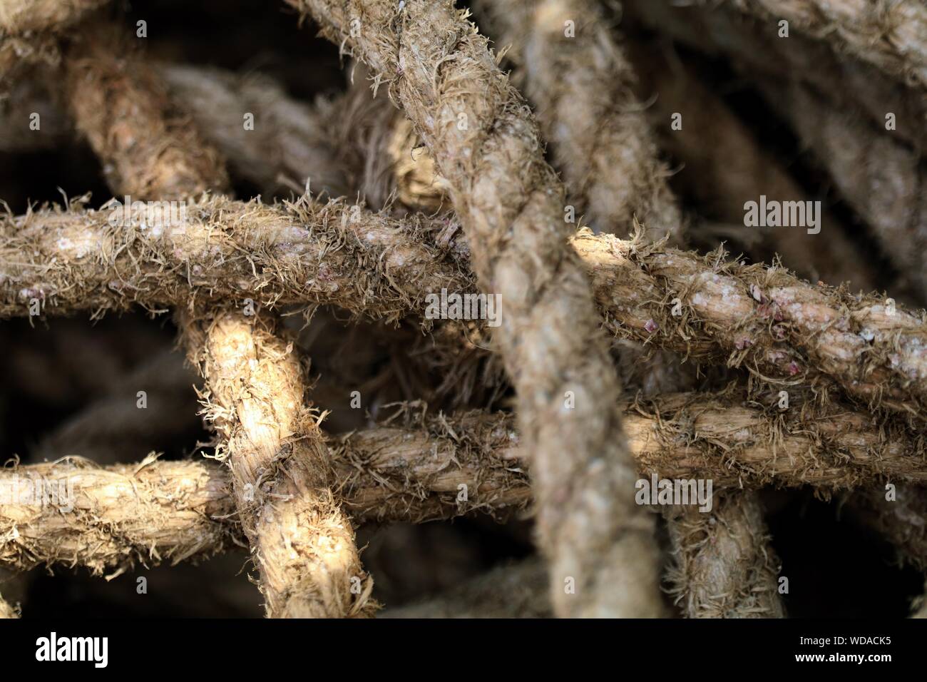 Tangled ropes hi-res stock photography and images - Alamy