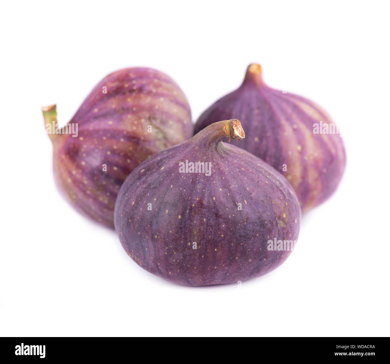 Fresh purple fig fruit isolated on white background. Whole ripe fig ...