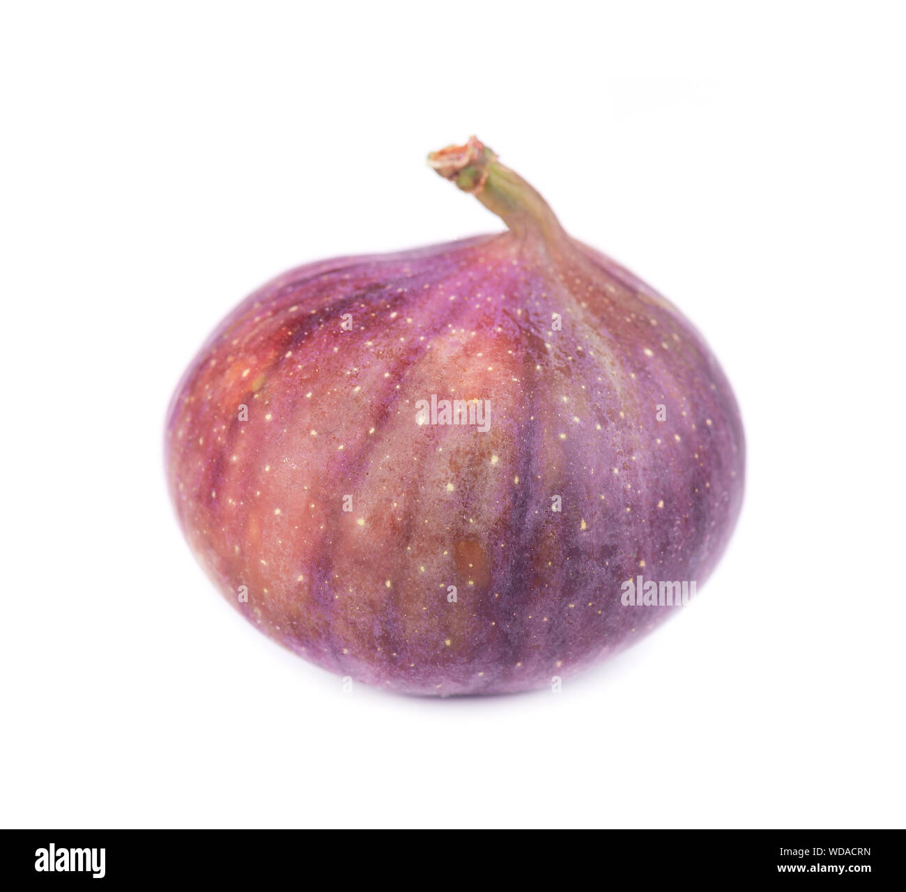 Fresh purple fig fruit isolated on white background. Whole ripe fig ...