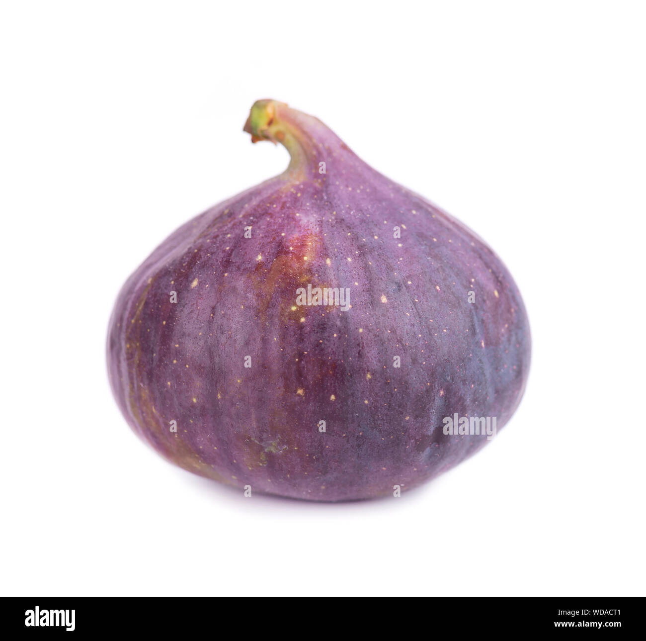 Fresh purple fig fruit isolated on white background. Whole ripe fig ...