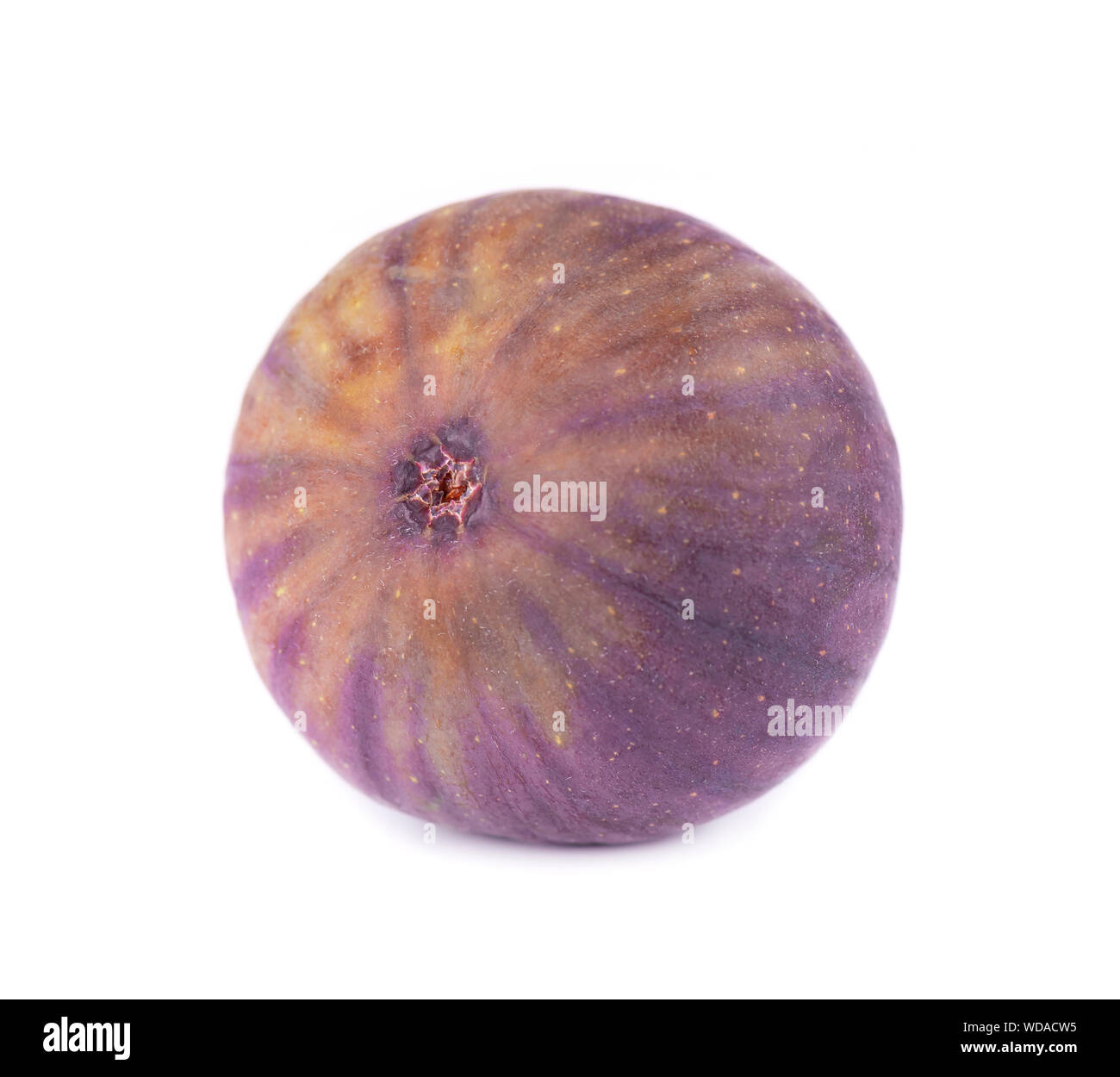 Fresh purple fig fruit isolated on white background. Whole ripe fig ...