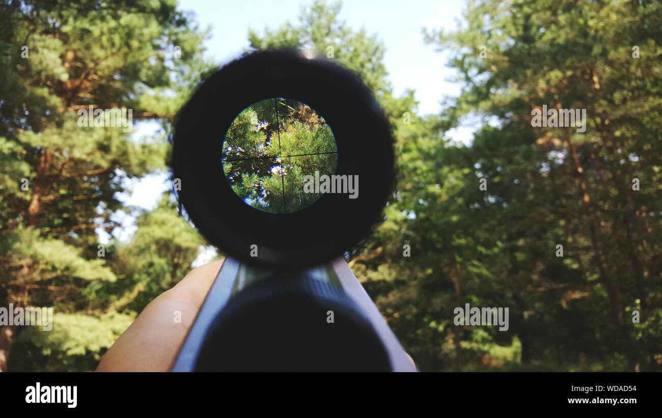 Hand hand holding rifle hi-res stock photography and images - Alamy