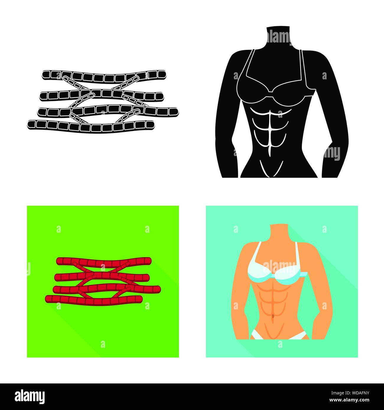 Vector design of fiber and muscular logo. Set of fiber and body stock ...