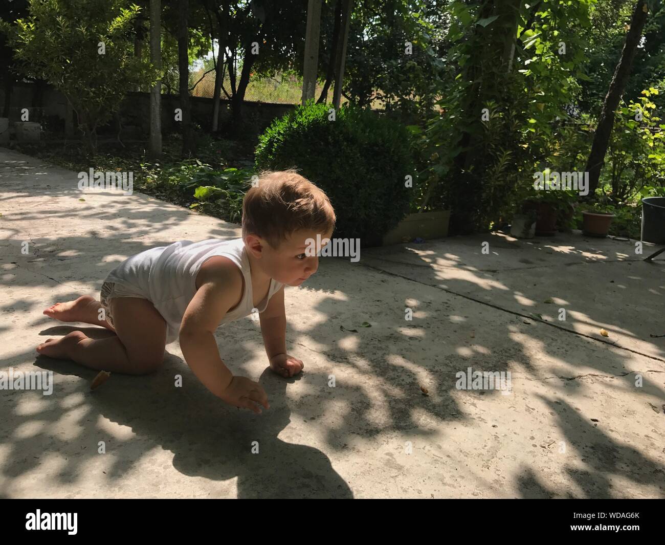 Cute pathway hi-res stock photography and images - Alamy