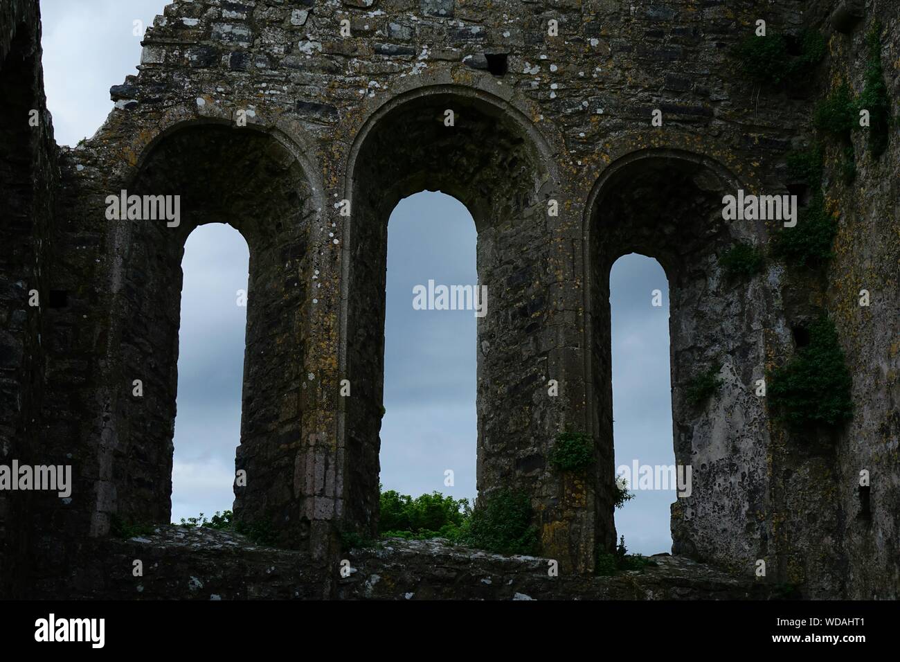Building with arch windows hi-res stock photography and images - Alamy