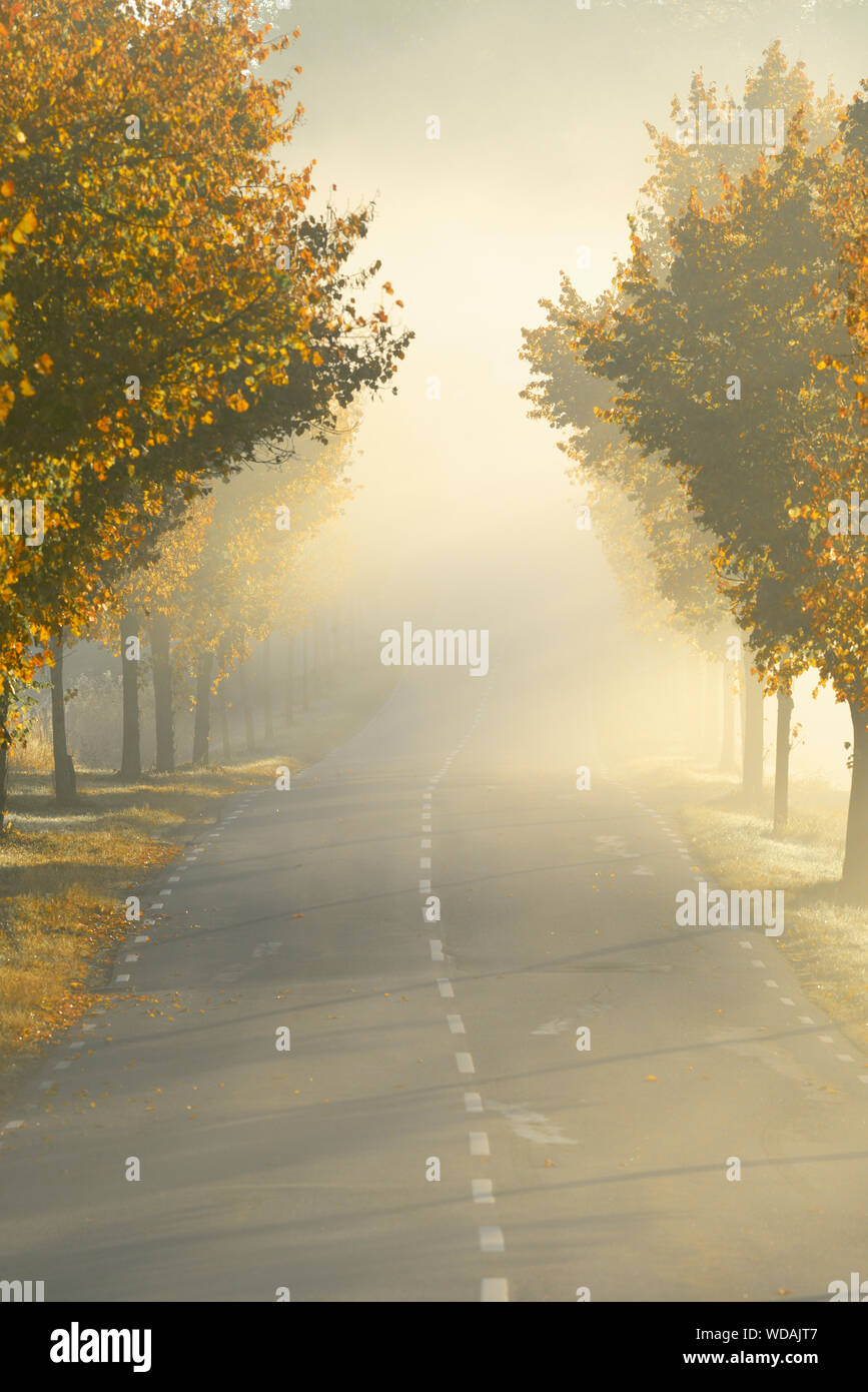 Fog in streets hi-res stock photography and images - Alamy