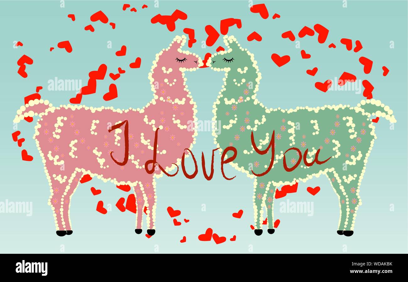 Llamas Kissing