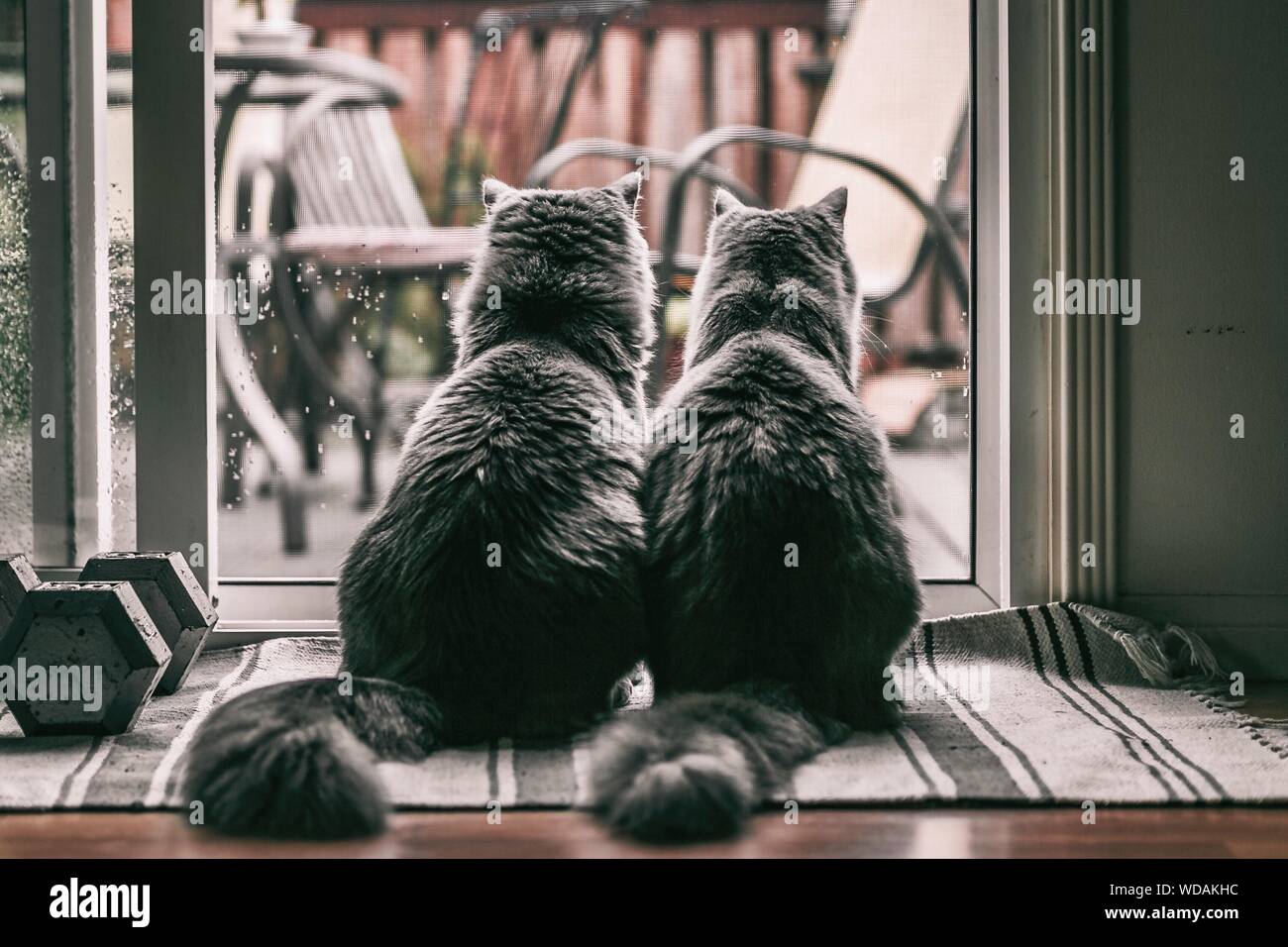 Sitting on mat hi-res stock photography and images - Alamy