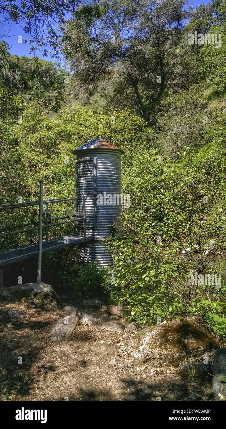 Pole forest hi-res stock photography and images - Alamy