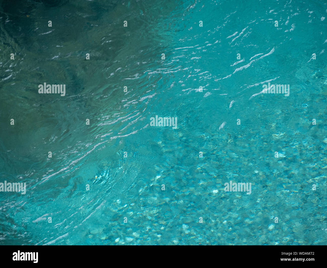 Blue Pools, New Zealand - clear cold turquoise water Stock Photo - Alamy