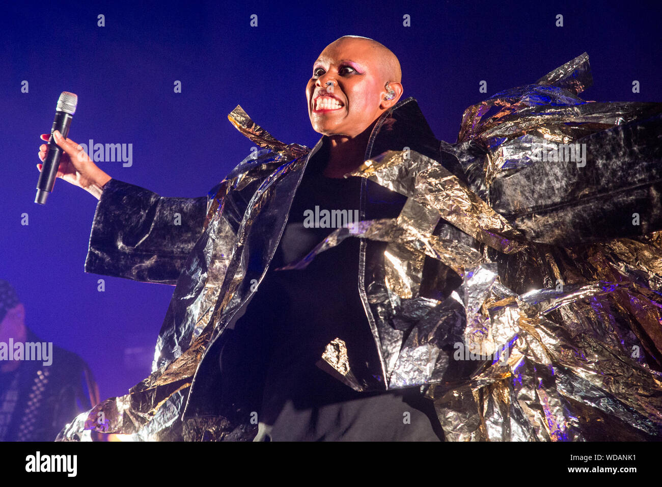 Deborah anne dyer skin hi-res stock photography and images - Alamy