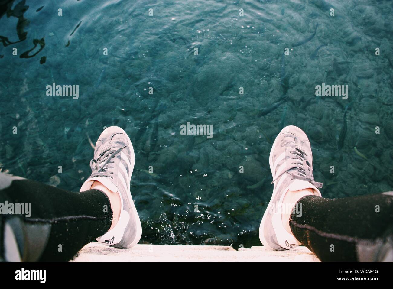 Overhead closeup shot of a person wearing sneakers sitting above the ...
