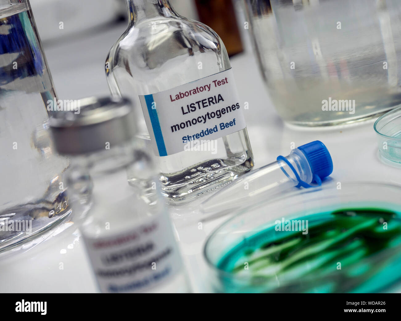 Listeria bacteria hi-res stock photography and images - Alamy