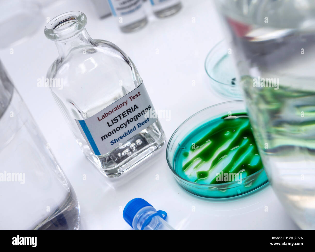 Listeria bacteria hi-res stock photography and images - Alamy