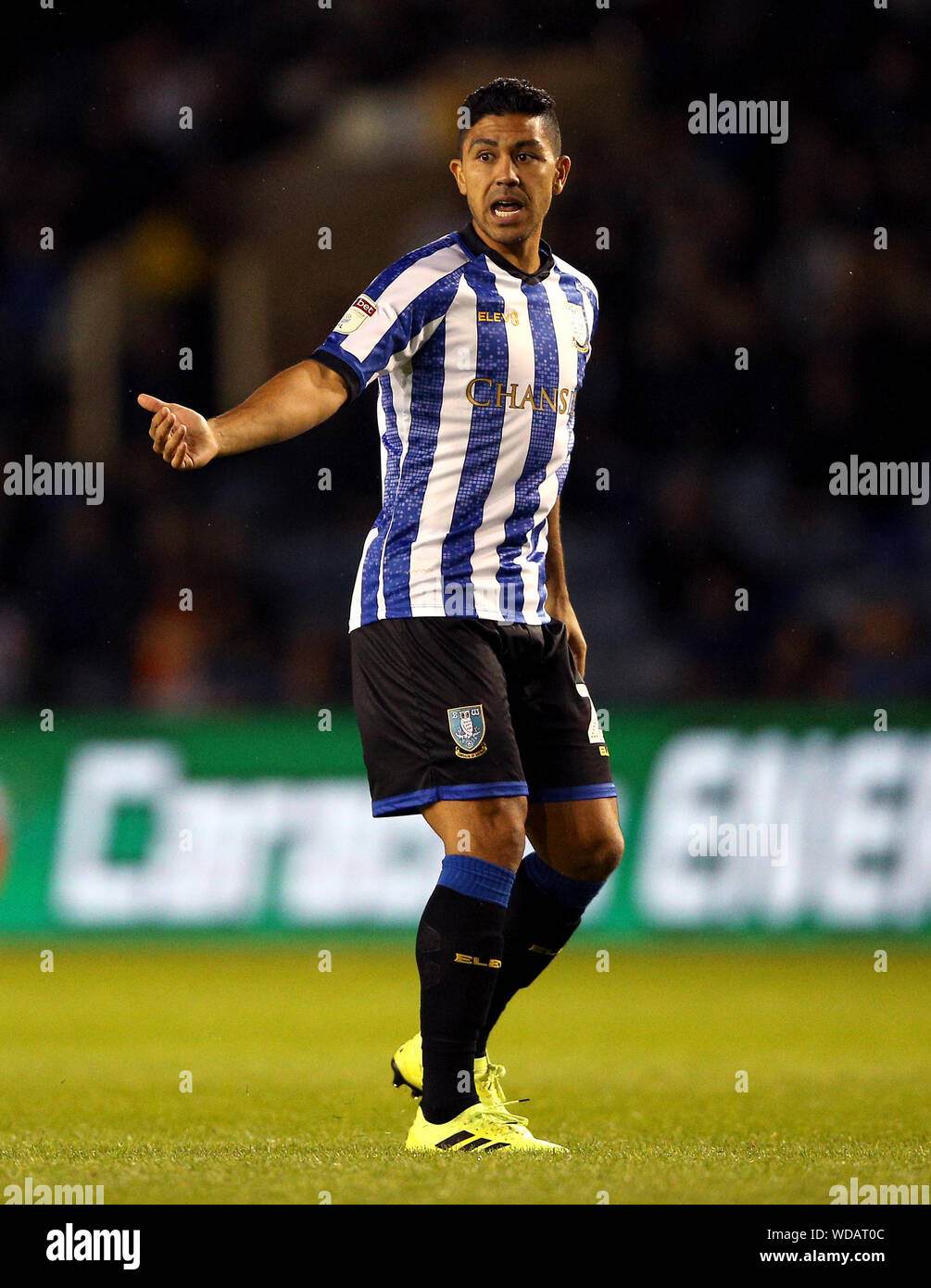 Massimo luongo sheffield wednesday hi-res stock photography and images ...