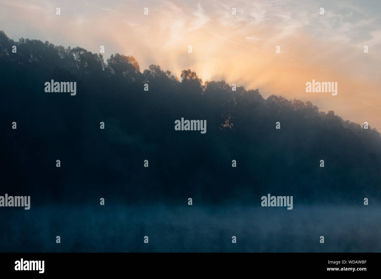 Volumetric tree hi-res stock photography and images - Alamy