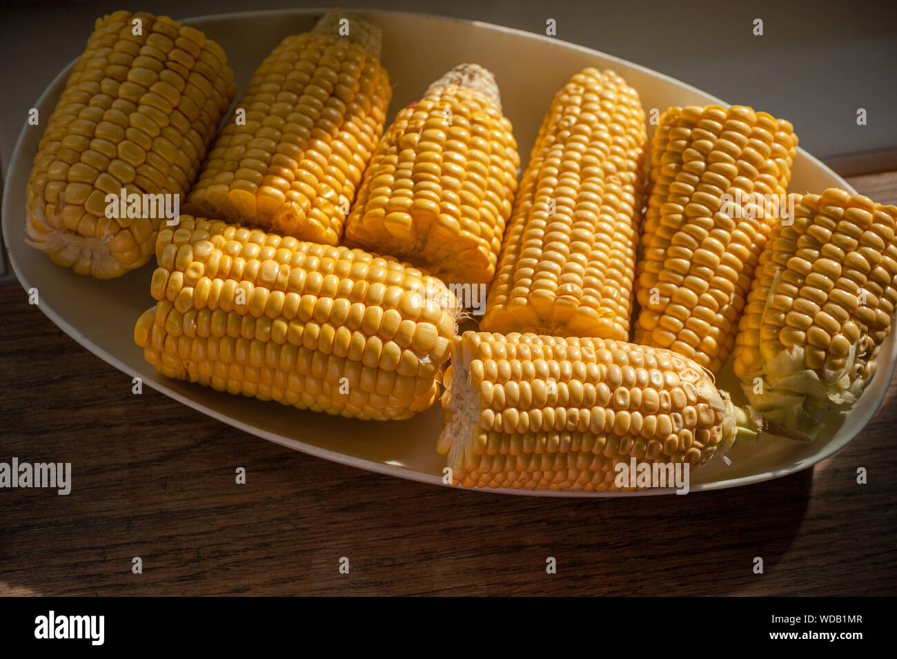 Harvesting sweet corn garden hi-res stock photography and images - Alamy