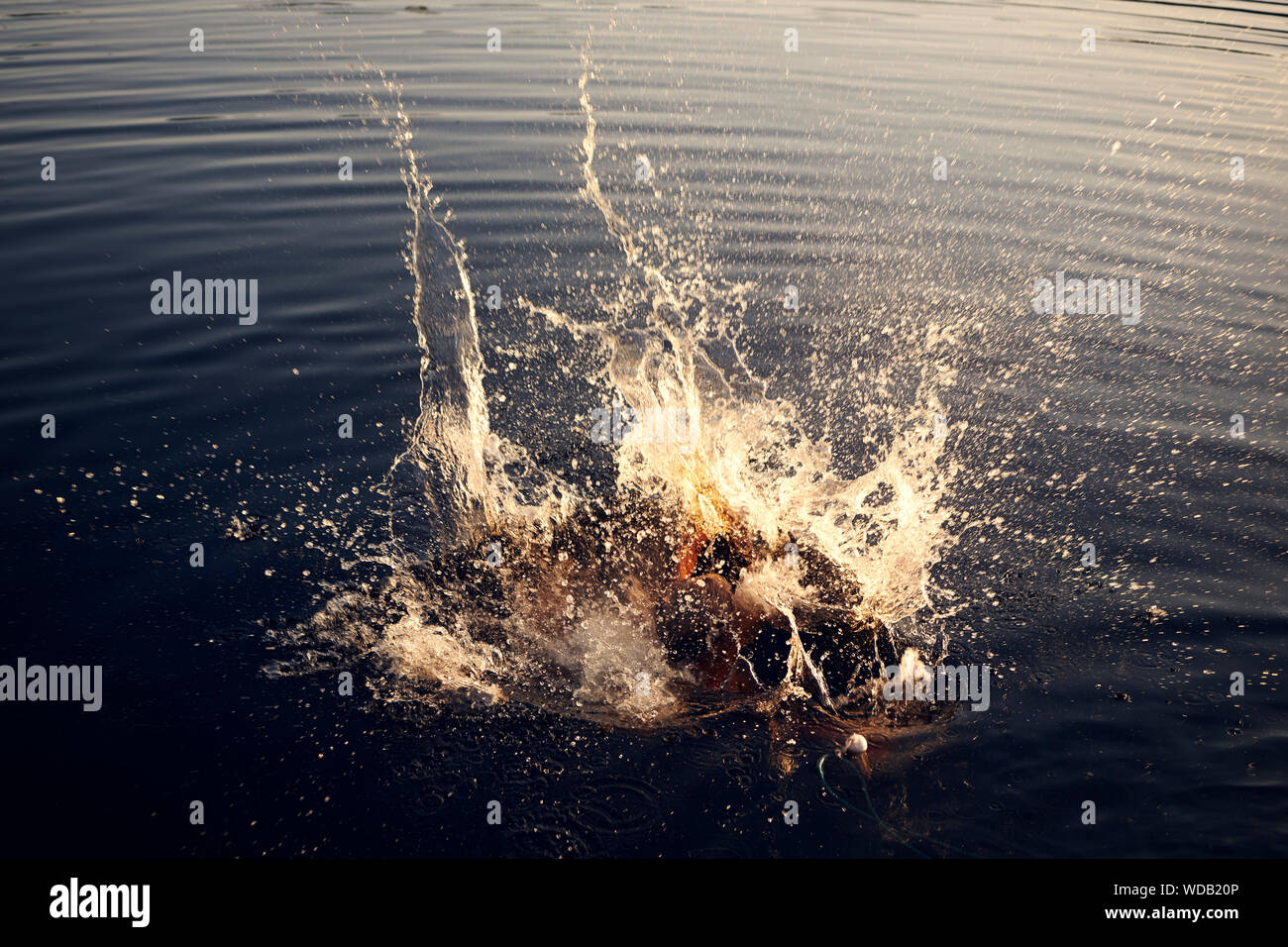 Diving water splash hi-res stock photography and images - Alamy