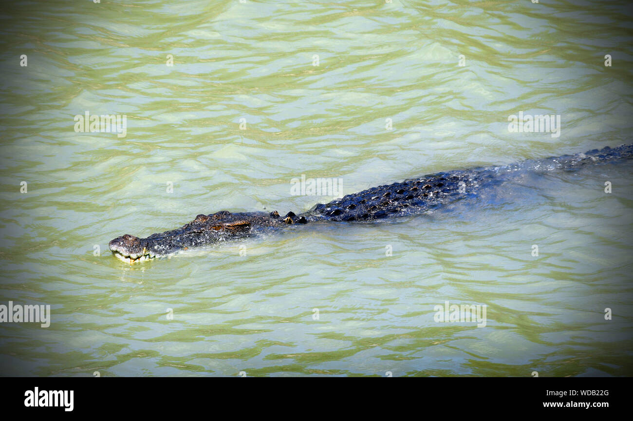 Cahill's Crossing, East Alligator River Arnhem Land Northern Territory ...