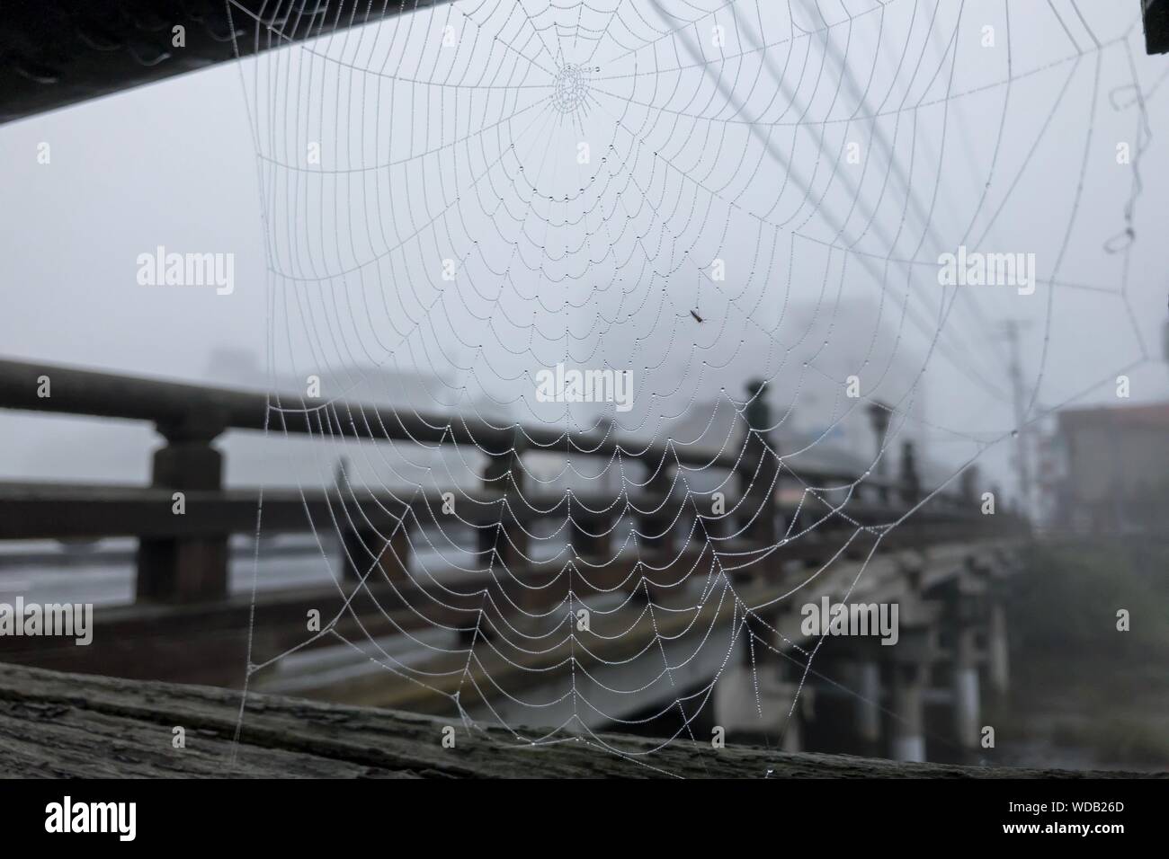 Web bridge hi-res stock photography and images - Alamy