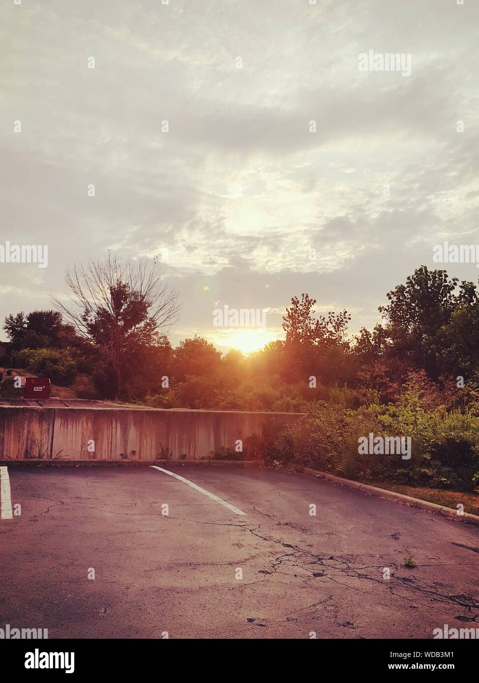 Empty parking tree hi-res stock photography and images - Alamy