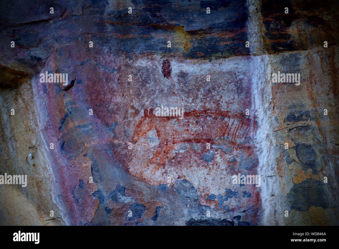 Rock Art Kakadu National Park Stock Photo - Alamy