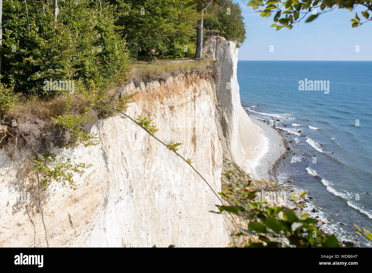 Chalk cliffs on the island Rugen (Rugia). The German Baltic Sea coast ...