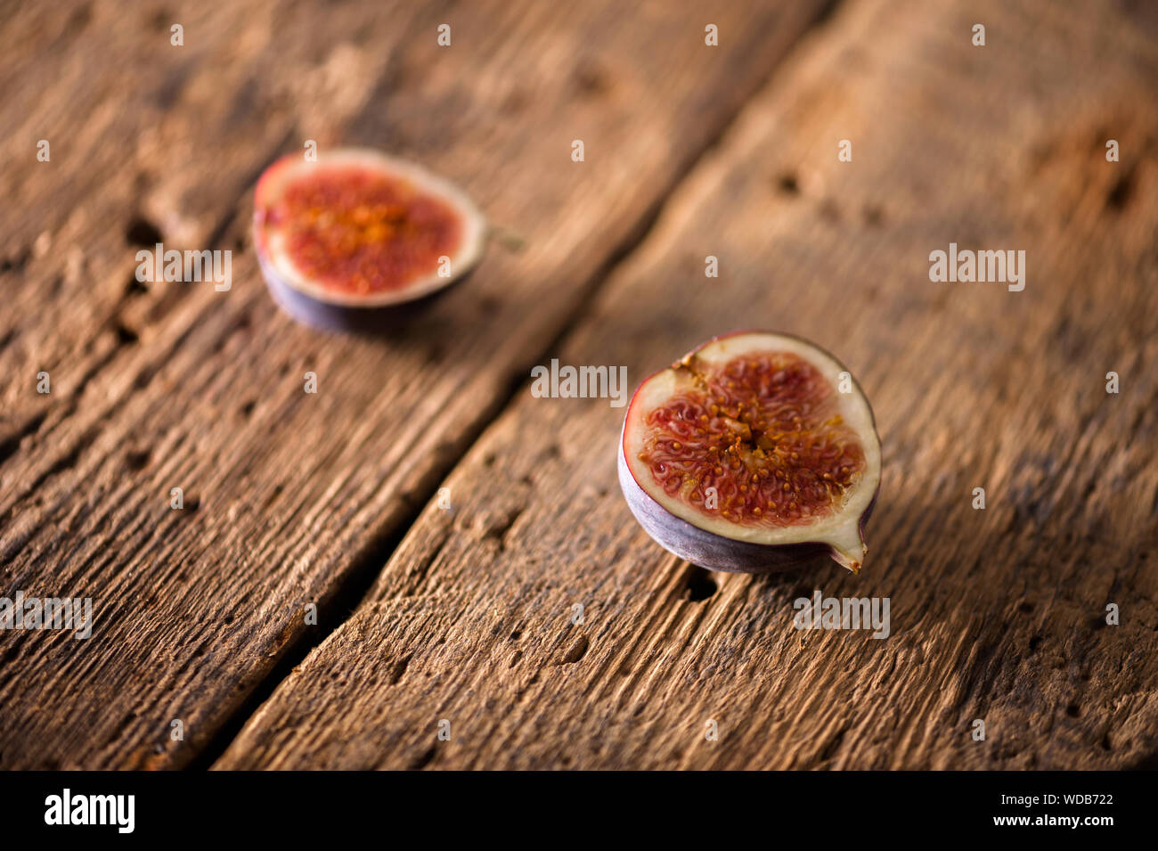 Figa tree hi-res stock photography and images - Alamy