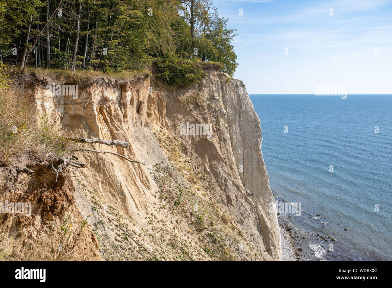 Chalk cliffs on the island Rugen (Rugia). The German Baltic Sea coast ...