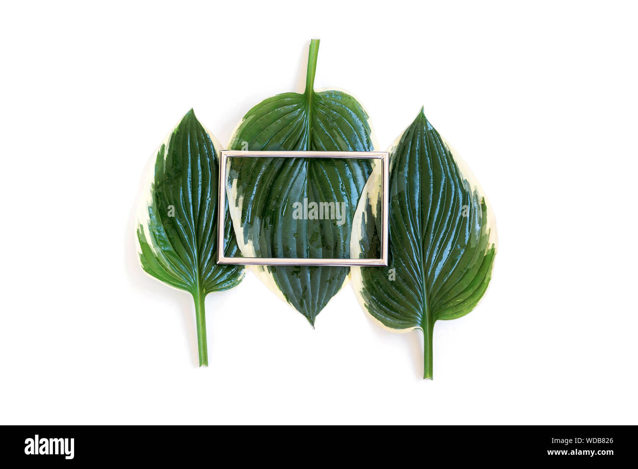 Frame creative layout made Cut Out Stock Images & Pictures - Alamy