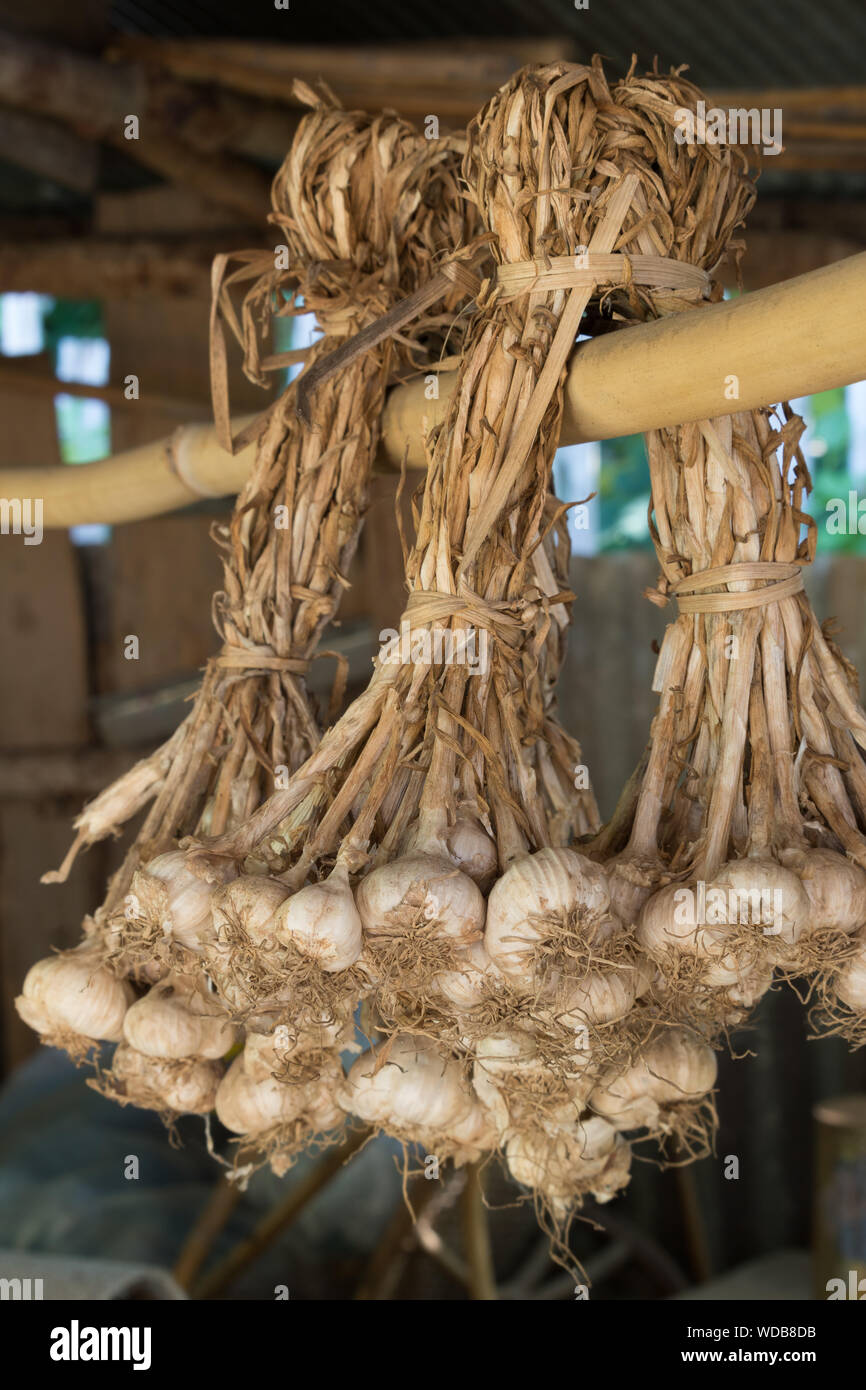 Garlic Rope High Resolution Stock Photography and Images - Alamy