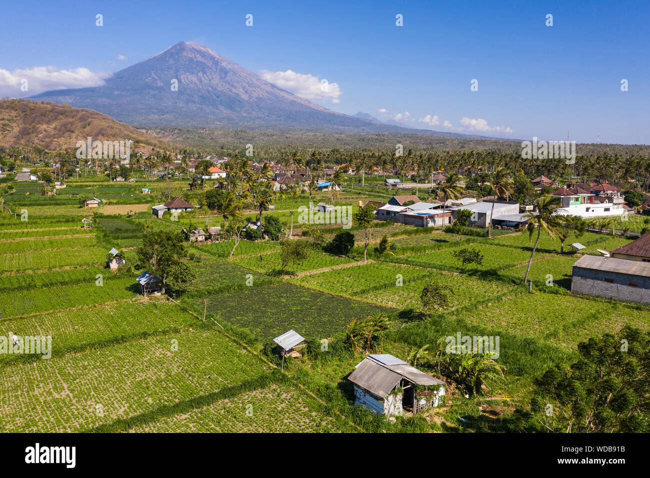 Dramatic view of Mt Agung volcano rising above the rice paddies in ...