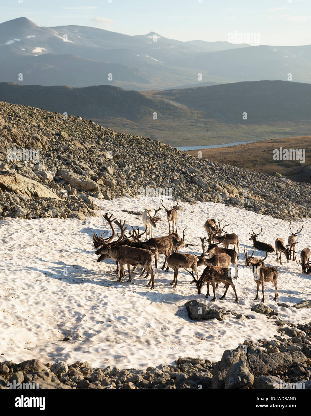Jotunheimen national park hi-res stock photography and images - Alamy